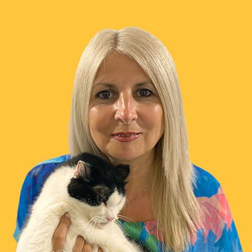 Matemanie+, profesorii care te inspiră.